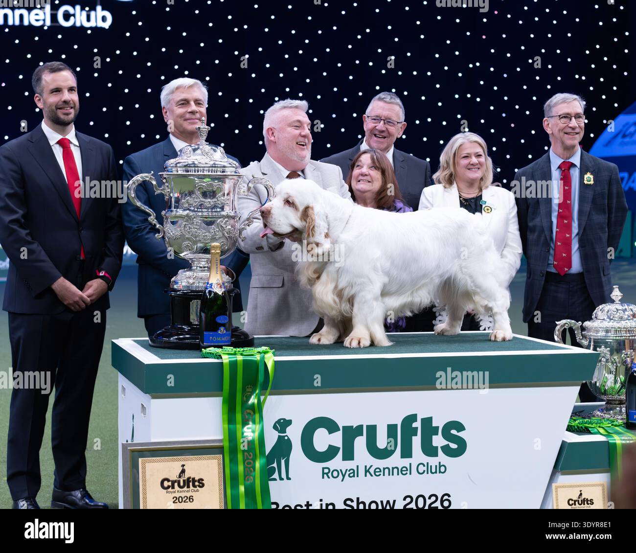 Lee cox best in show podium hi-res stock photography and images - Alamy