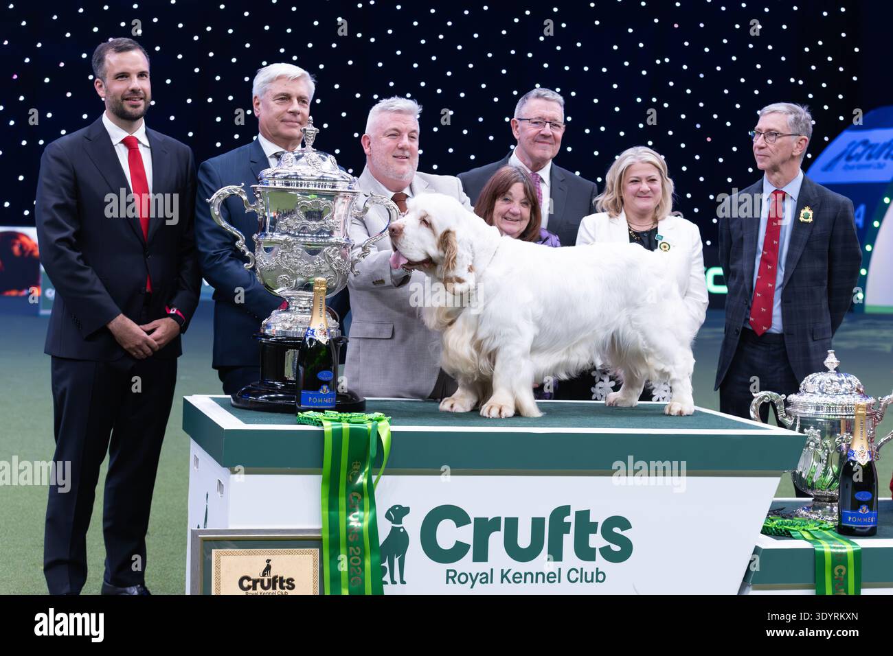 Lee cox best in show podium hi-res stock photography and images - Alamy