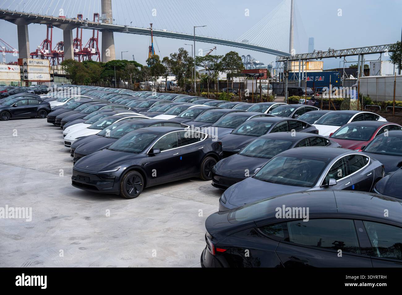 HONGKONG-CAR/TESLA-EV New Tesla Vehicles parked at an order parking lot ...