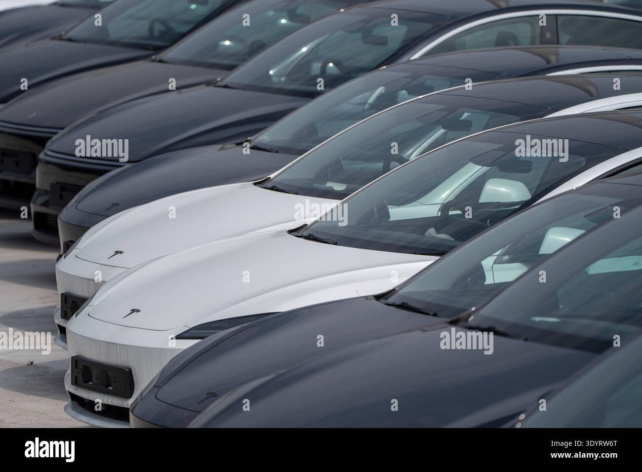 HONGKONG-CAR/TESLA-EV New Tesla Vehicles parked at an order parking lot ...