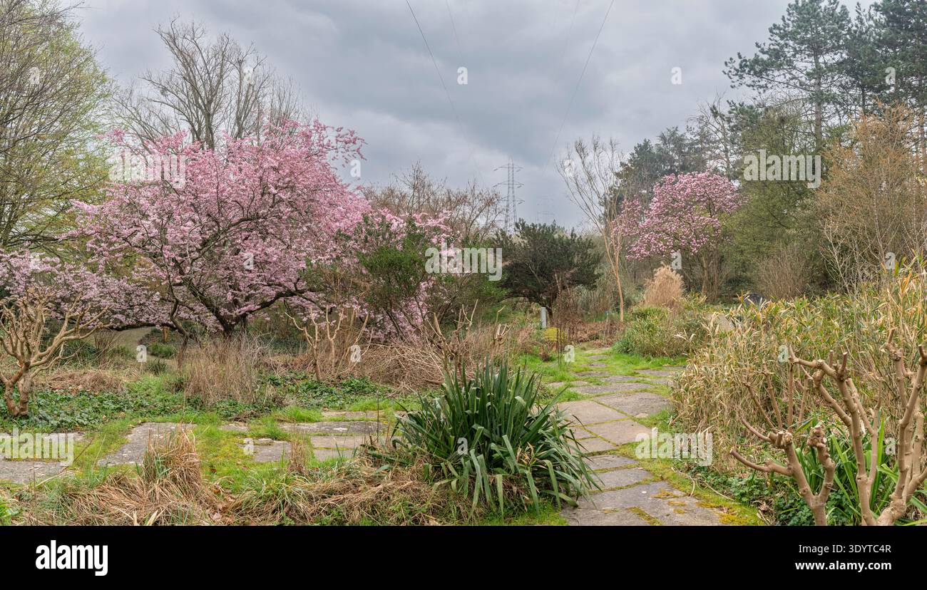 Gennevilliers, France - 03 08 2026: Chanteraines park. Nature in bloom ...