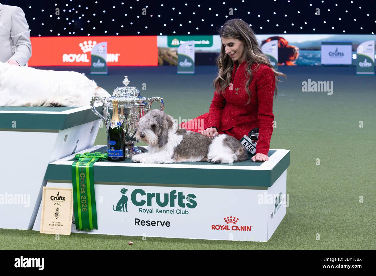 Crufts 2026 birmingham hi-res stock photography and images - Alamy