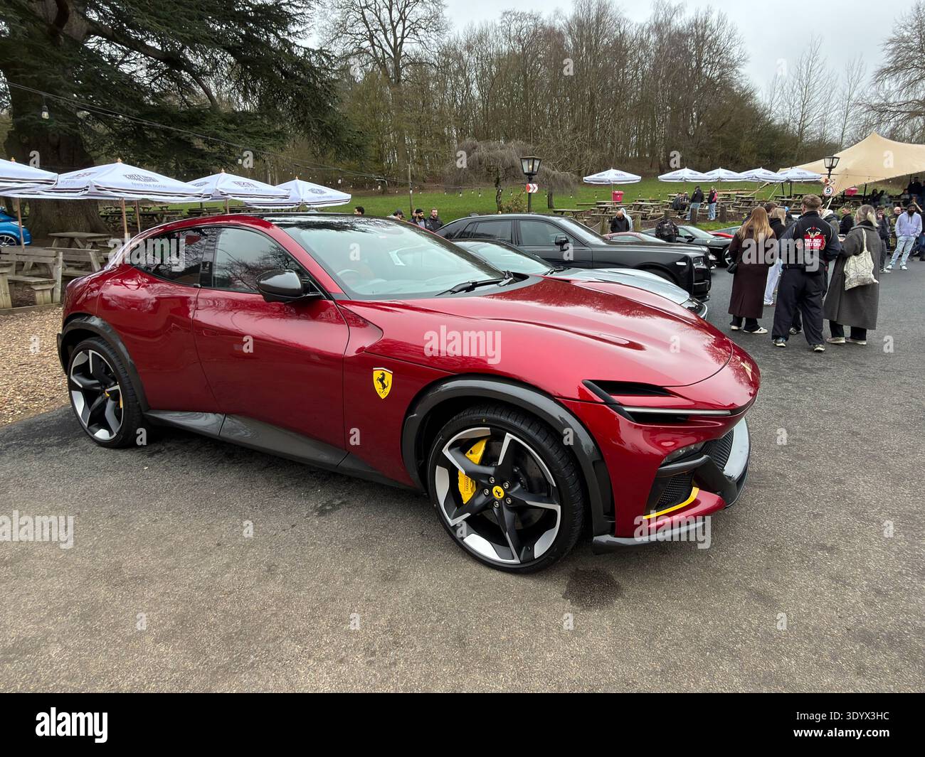 Ferrari Purosangue luxury V12 SUV at the Daily Driven Car Club ...