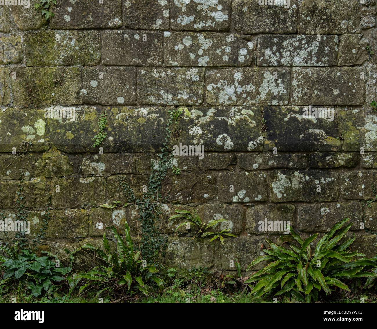 Historic limestone masonry texture showing aged stone wall surface ...