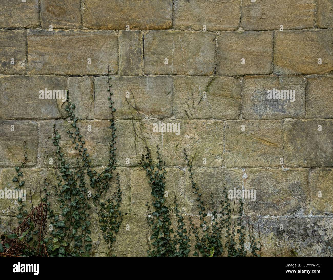 Historic limestone masonry texture showing aged stone wall surface ...