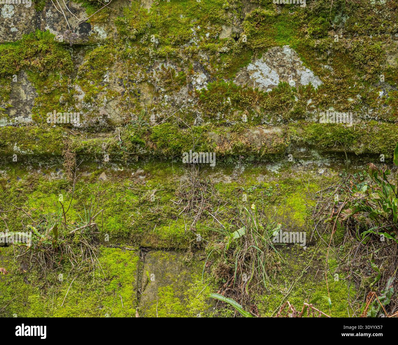 Historic limestone masonry texture showing aged stone wall surface ...