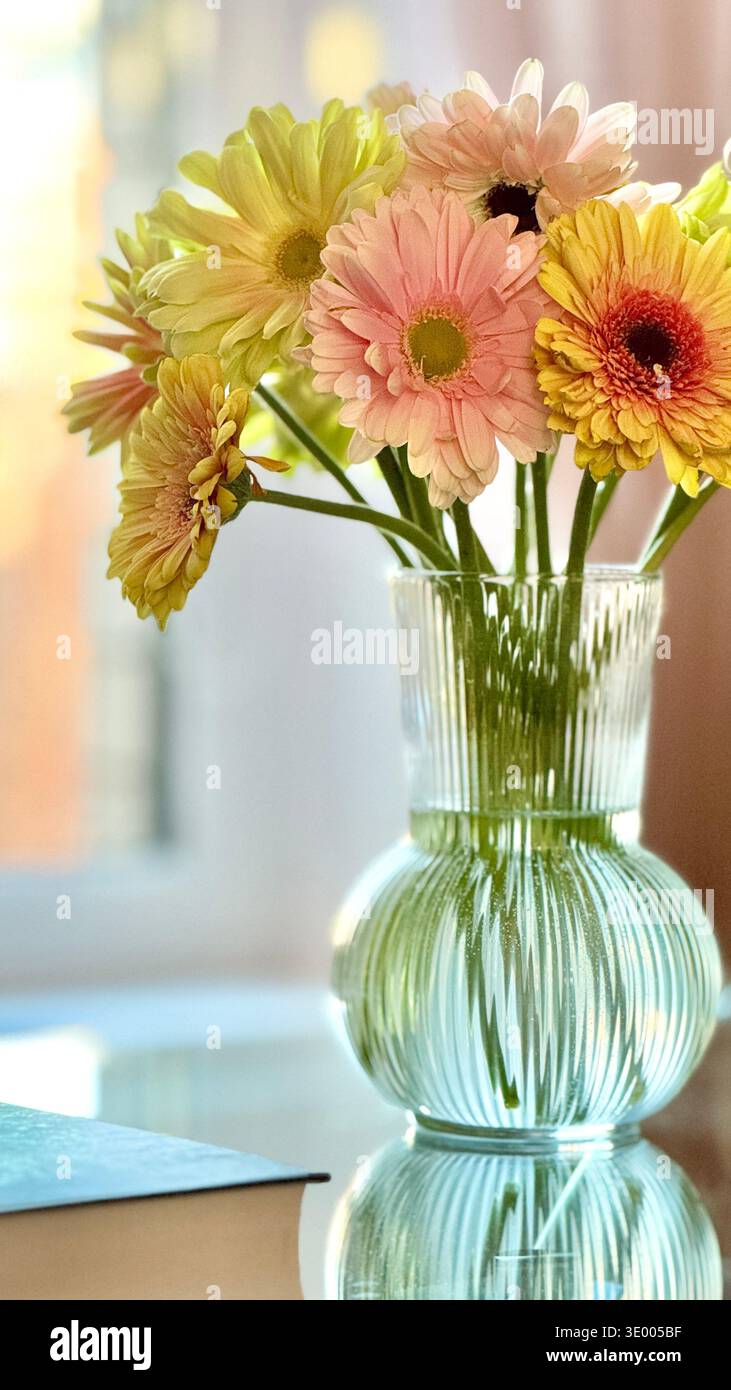 Bouquet of beautiful gerbera flowers in glass vase on glass table ...