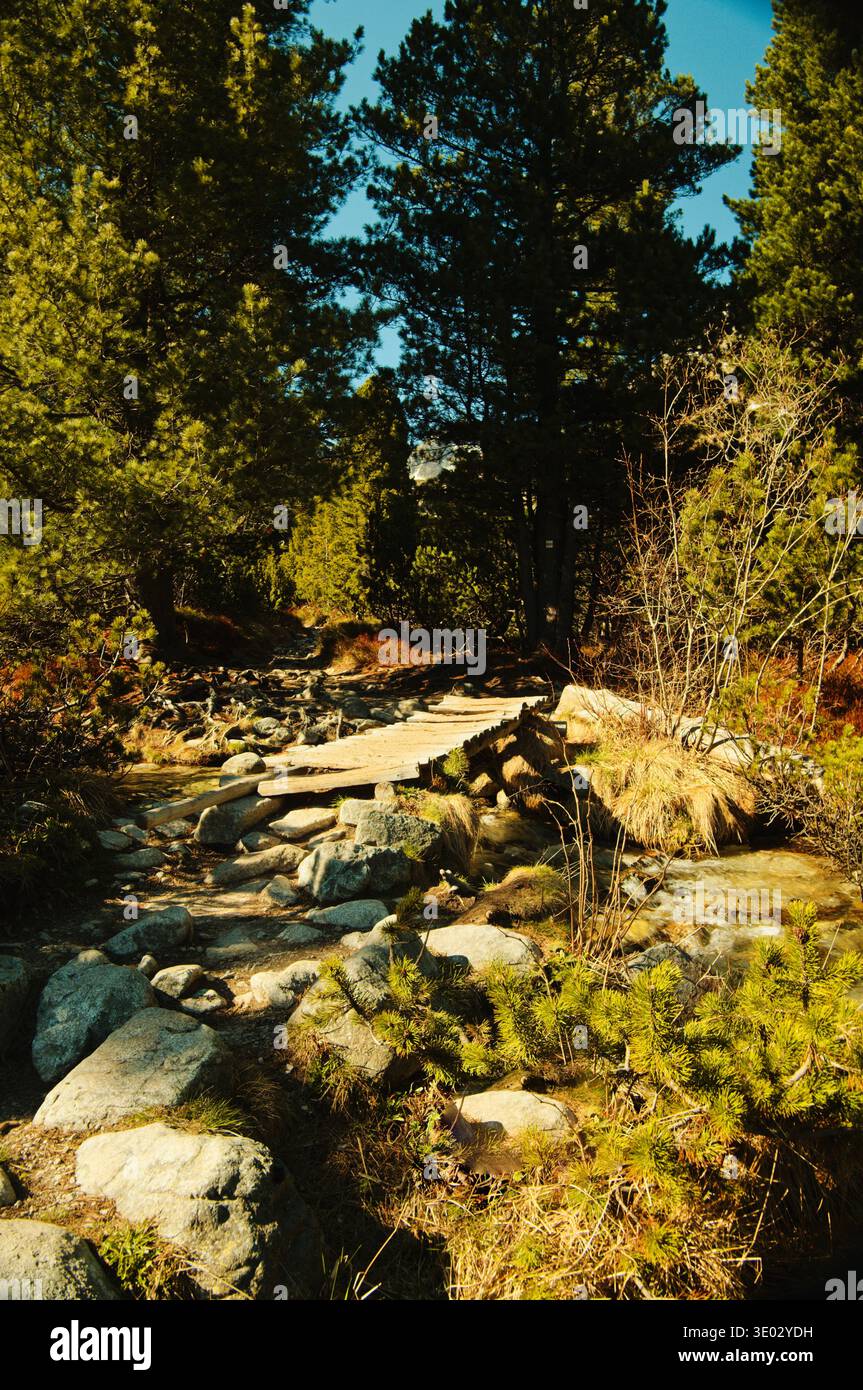 Mountain Stream Scenery. Serene Forest River Landscape. Peaceful ...
