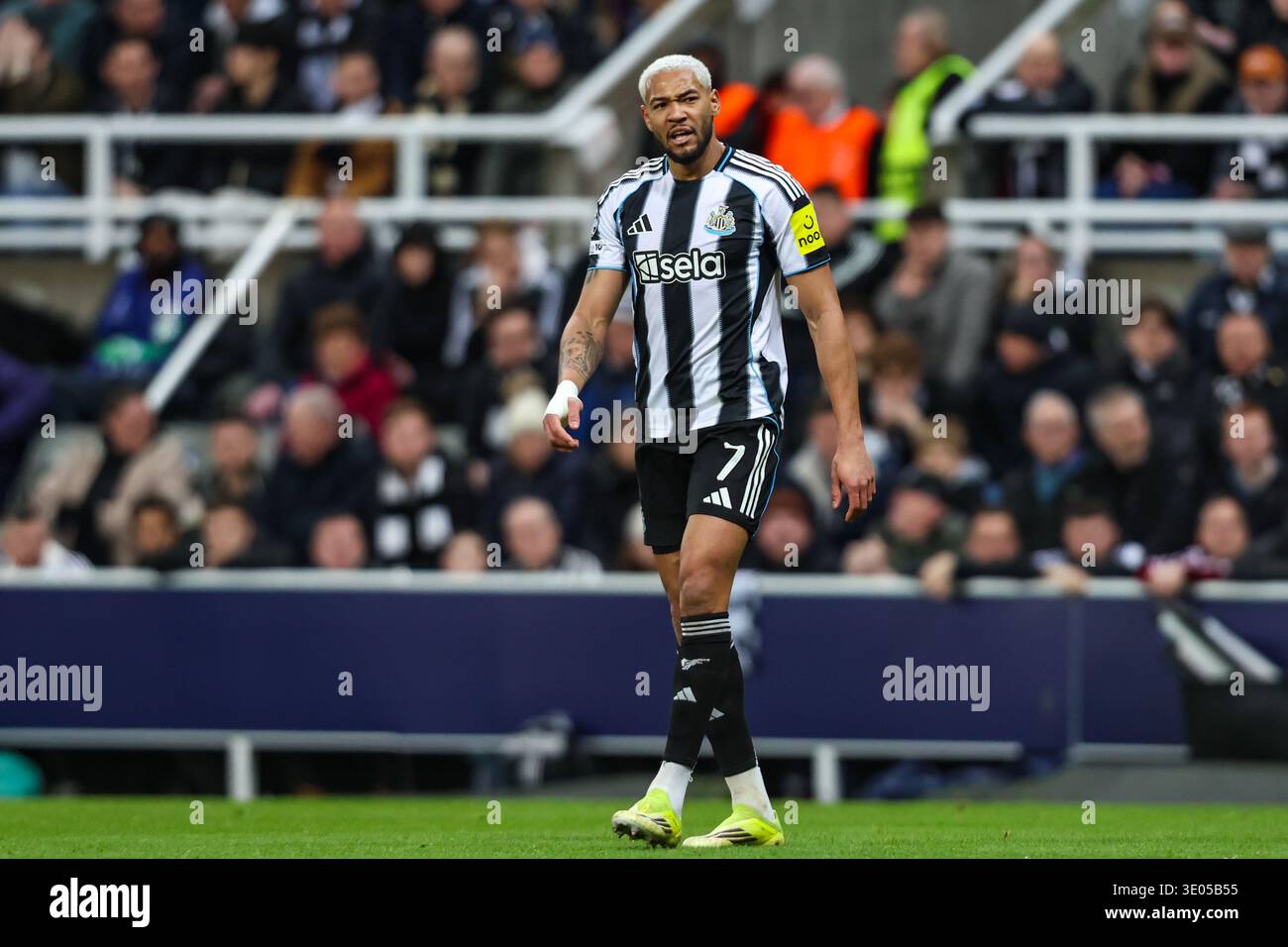 Joelinton Of Newcastle United during the Newcastle United v Barcelona ...