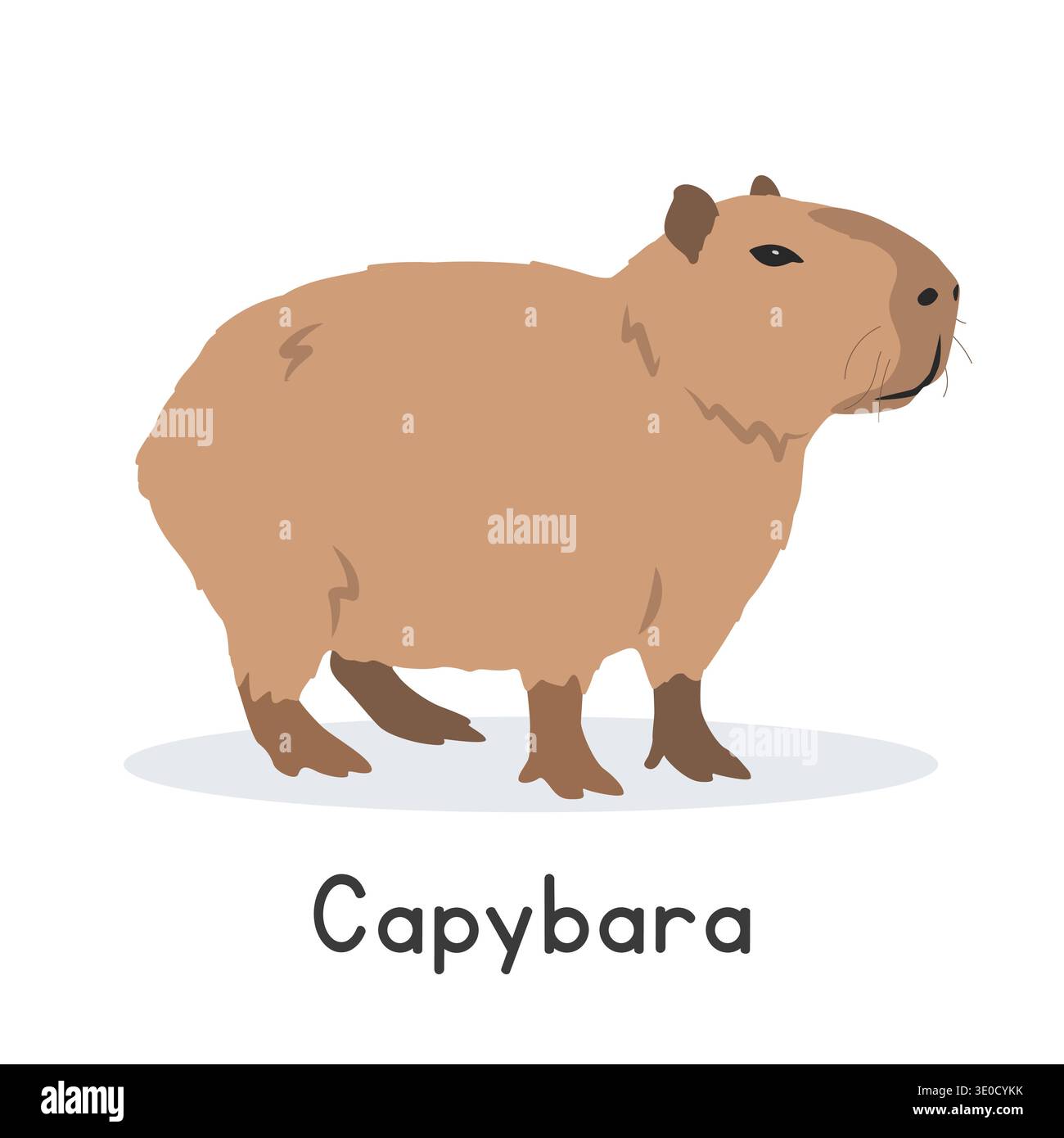 Cartoon capybara hi-res stock photography and images - Alamy