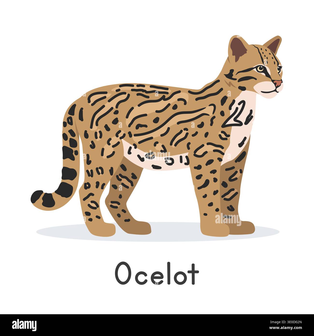 Ocelot vector illustration, cartoon clipart character, animal in flat ...