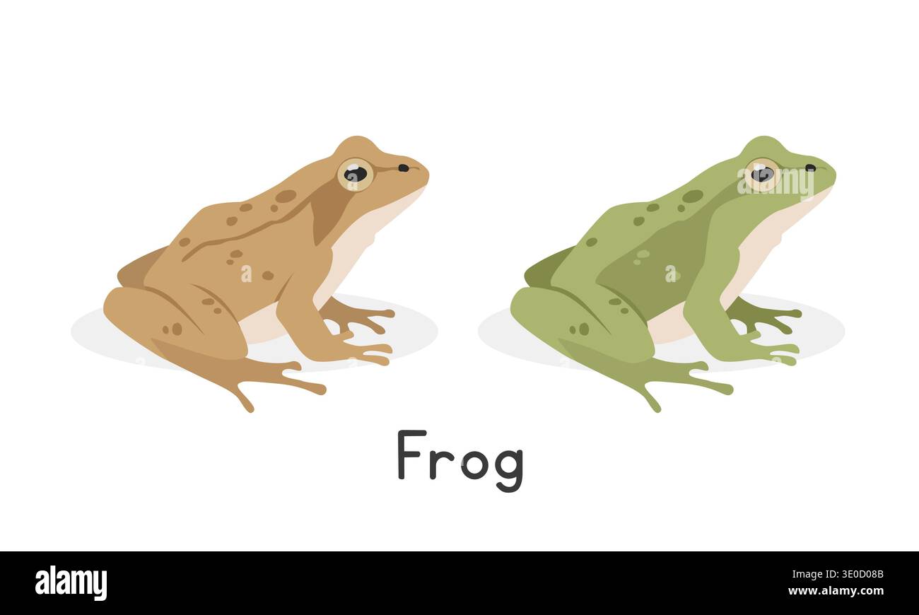 Wood frog and a green frog vector illustration, cartoon clipart ...