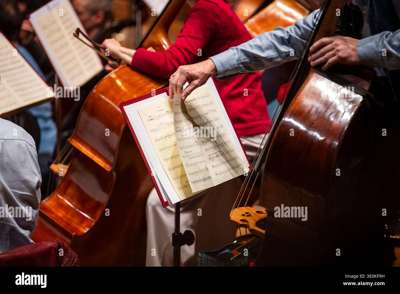 PRODUCTION - 12 March 2026, Bavaria, Bamberg: A double bass player ...