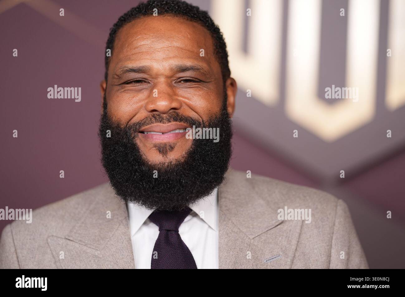 Anthony Anderson arrives at MACRO's 8th Annual Pre-Oscars Party ...