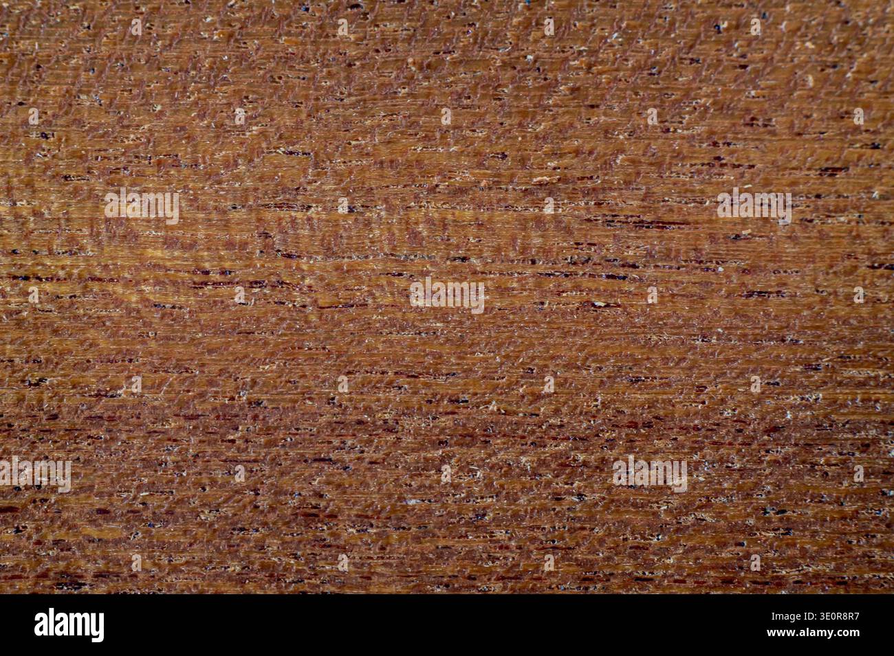 Extreme close-up macro of sapele hardwood timber showing distinctive ...