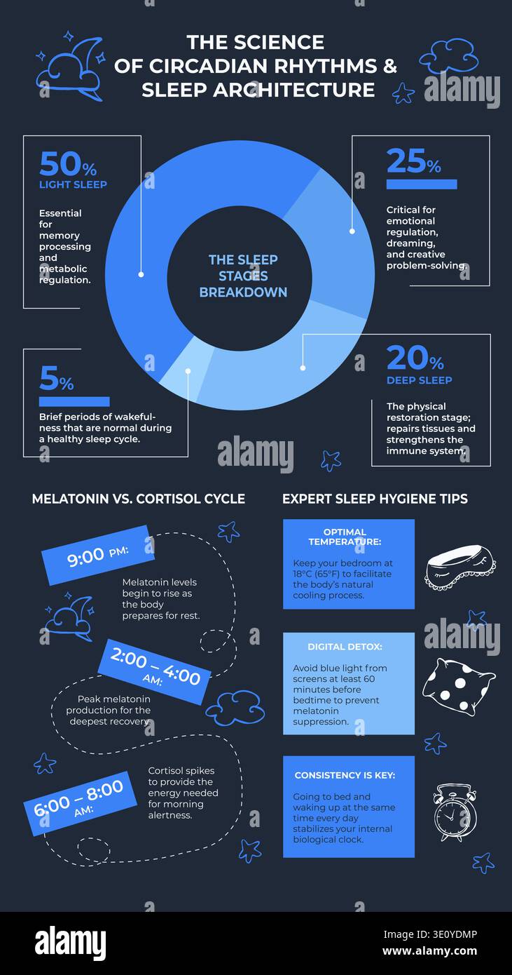 Insomnia Infographic. Expert sleep hygiene tips and circadian rhythm ...