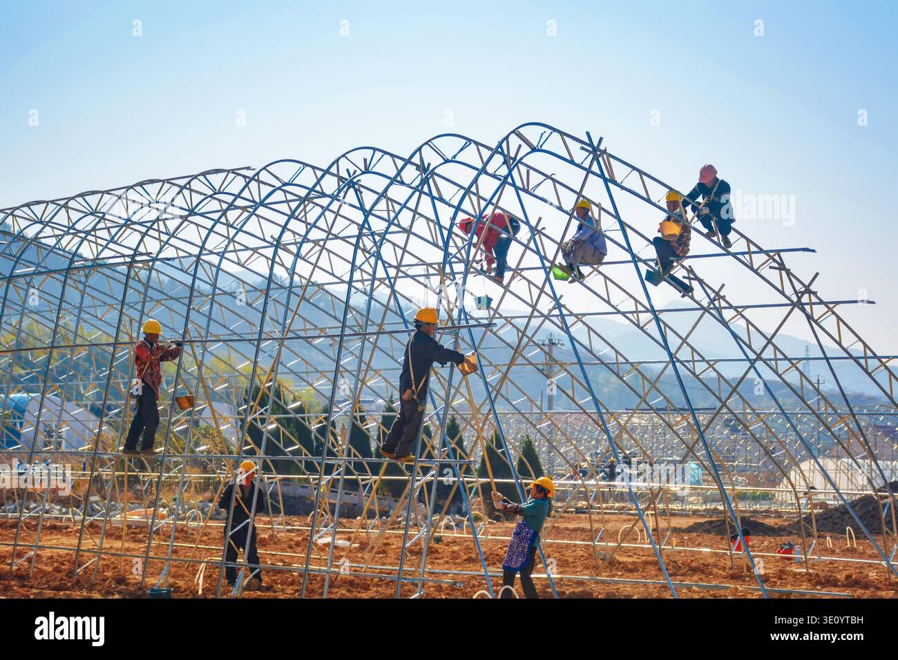 Workers collaborate in building a greenhouse at a vegetables plantation ...