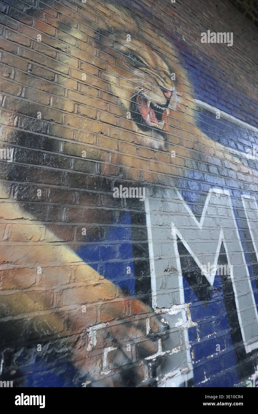 Millwall Mural outside the den ahead of the Sky Bet Championship match ...