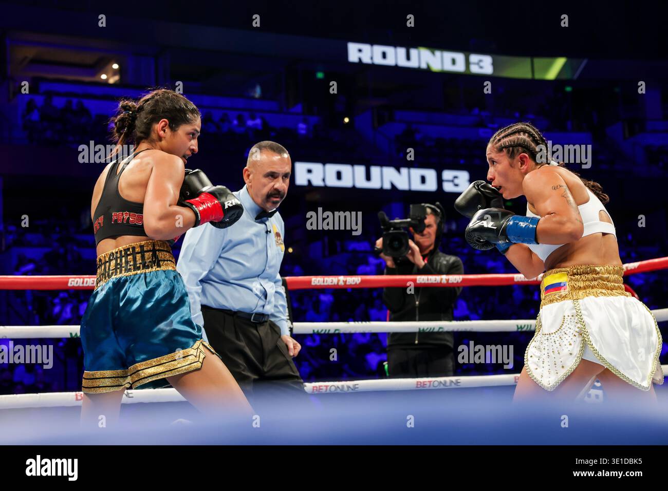 Gabriela Fundora defended her undisputed flyweight championship with a ...