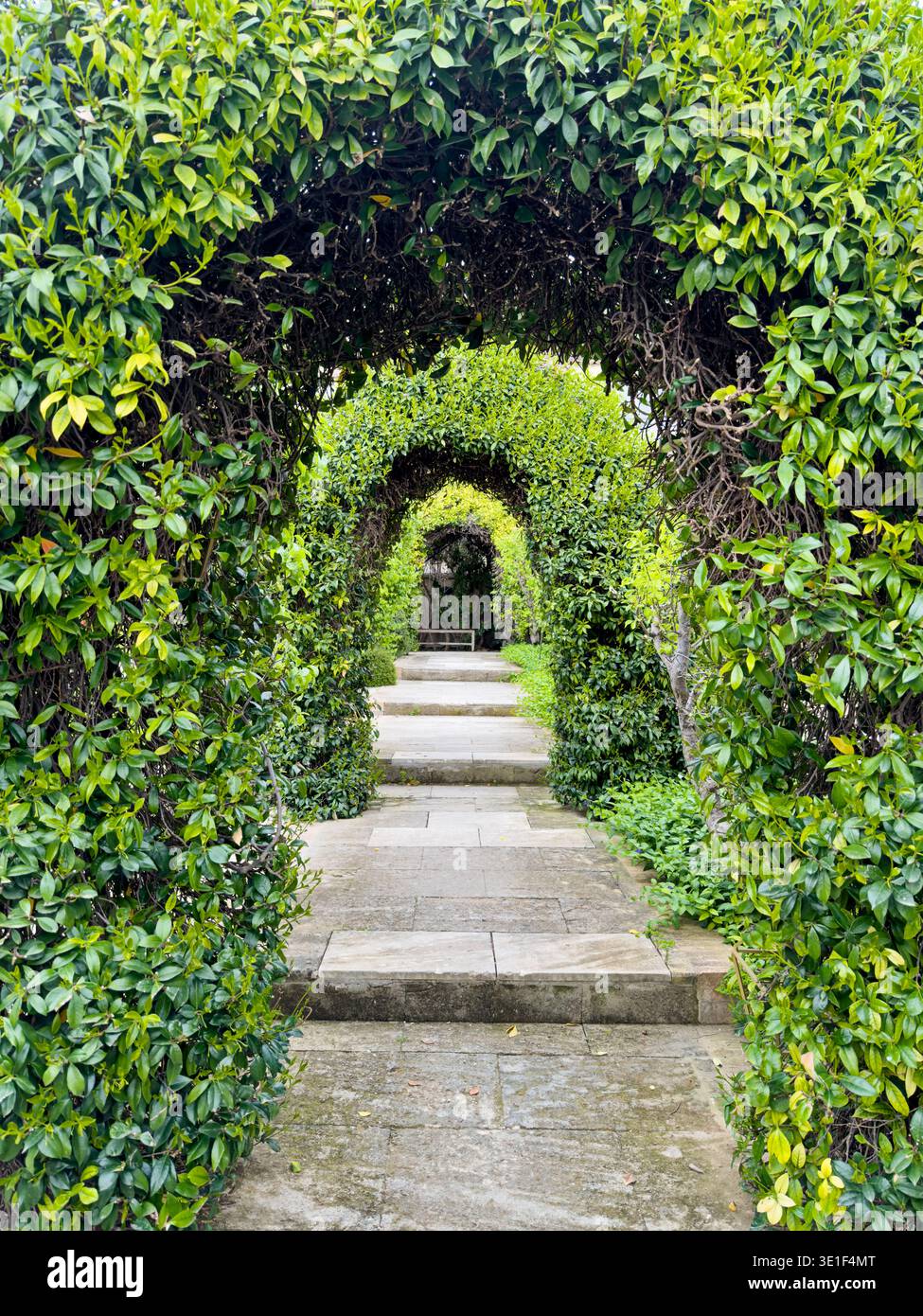 Natural arches in lush, green hedges frame a peaceful, quiet garden ...