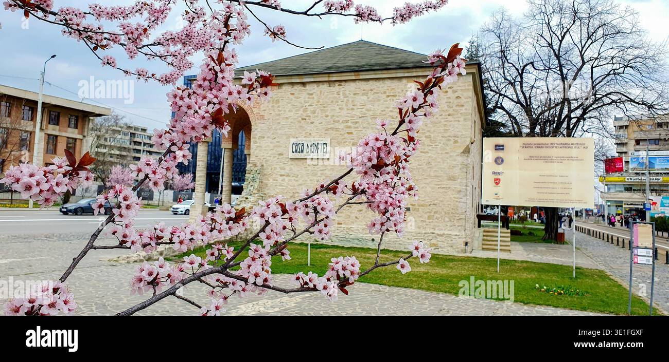 Dosoftei House, also known as the House with Arcades, is one of the ...