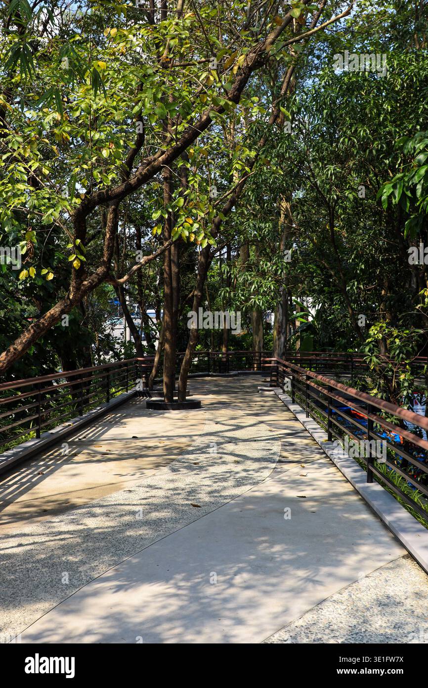 Elevated walkway path with railings surrounded by tropical trees inside ...