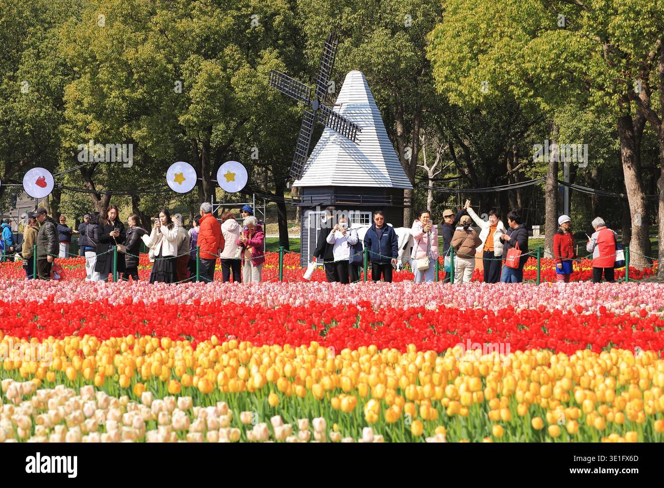 Visitors enjoy tulips at Daning Park in Shanghai, China, 13 March, 2026 ...