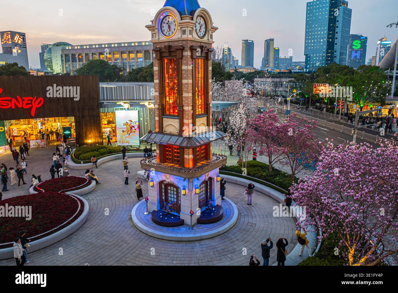 Magnolias bloom at Lujiazui Roundabout in Shanghai, China, 13 March ...