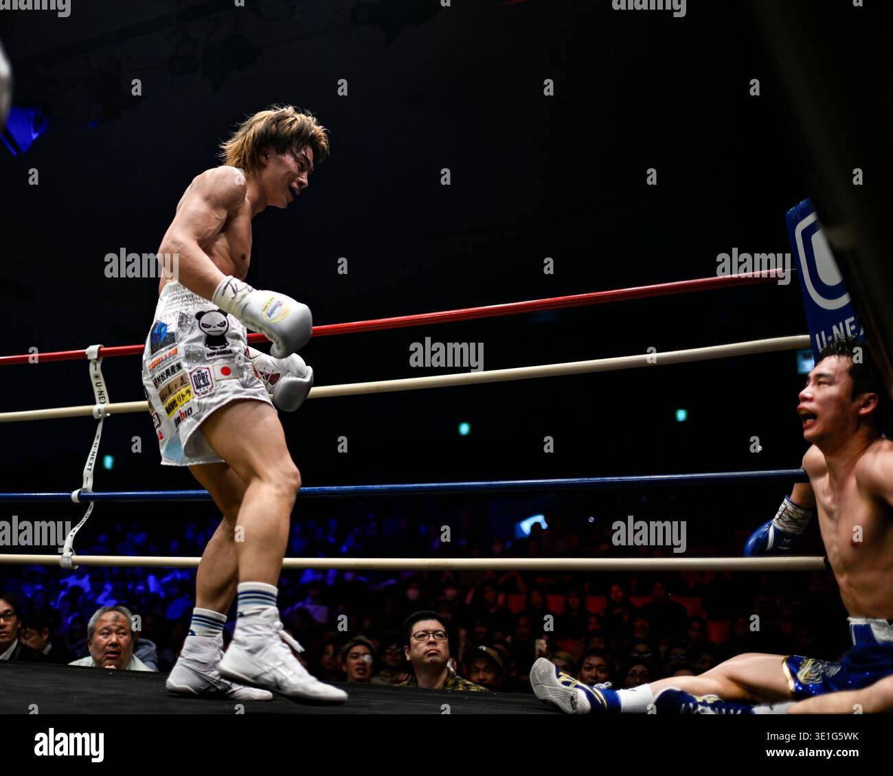 Champion Yamato Hata (silver gloves) of Japan and challenger Tae Sun ...