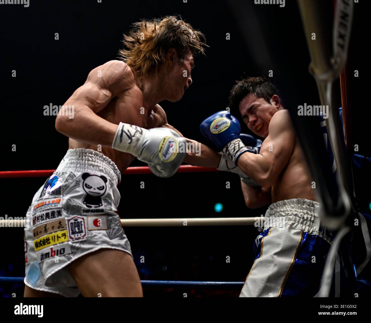 Champion Yamato Hata (silver gloves) of Japan and challenger Tae Sun ...