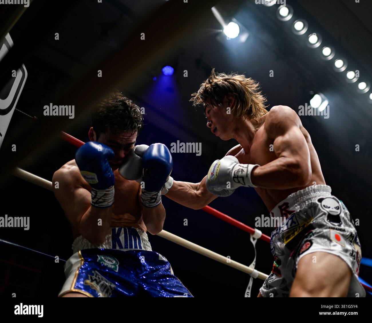Champion Yamato Hata (silver gloves) of Japan and challenger Tae Sun ...