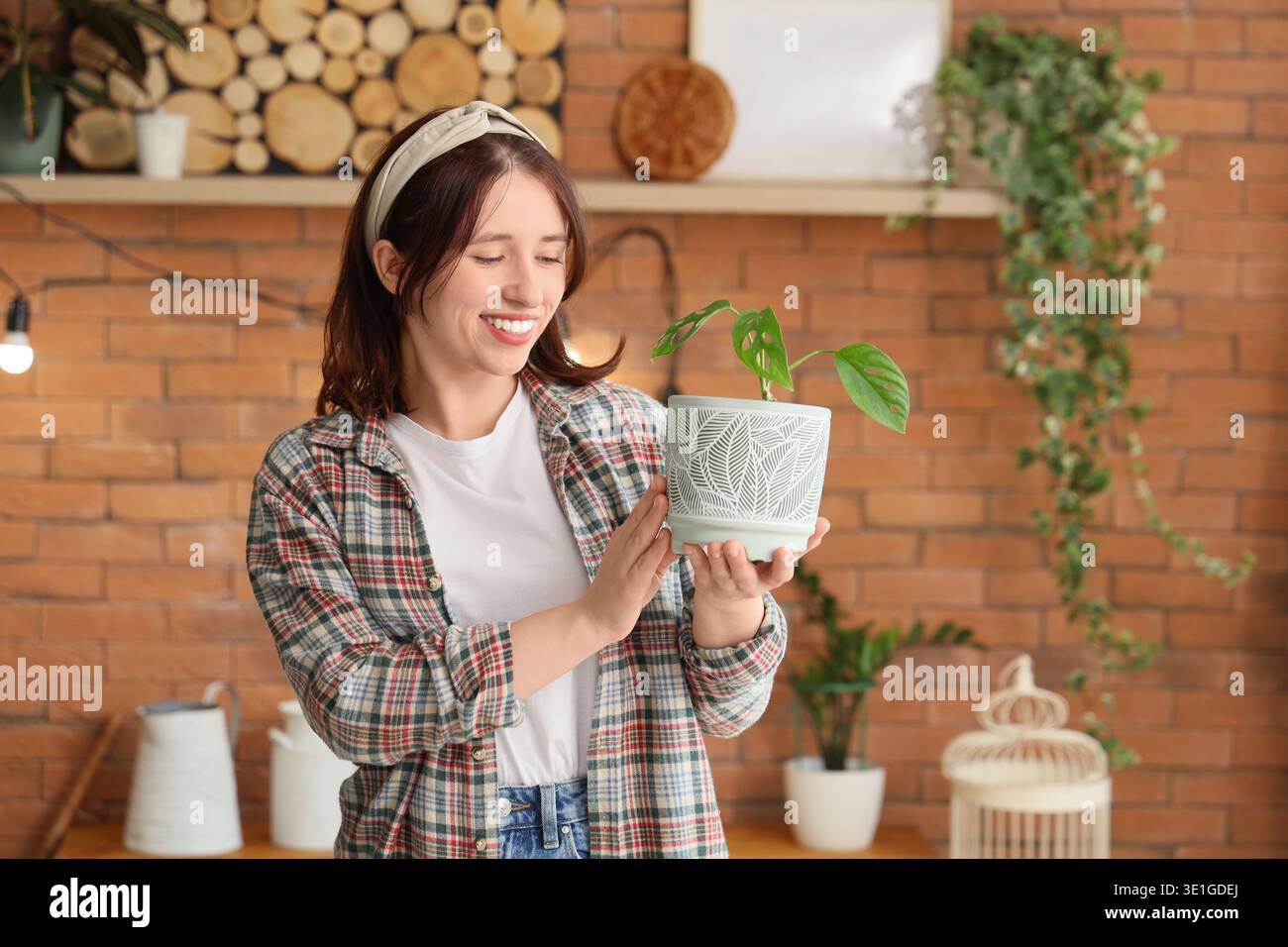 Adult gardener repotting houseplant hi-res stock photography and images ...