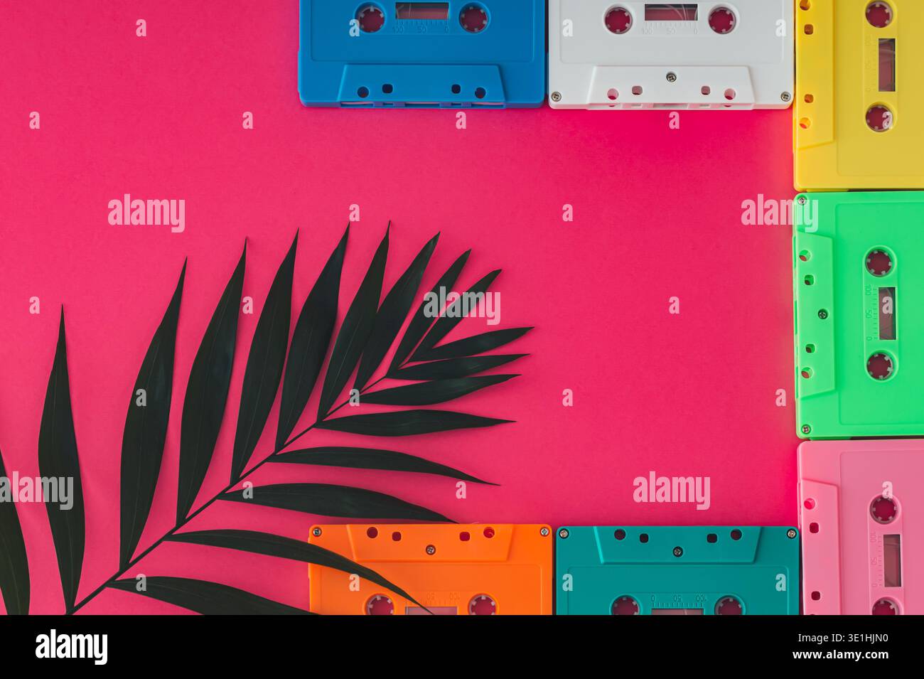 Colorful retro audio cassette tape frame and tropical palm leaf on pink ...
