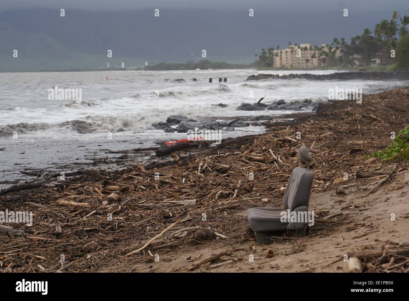 Debris covers a beach in Kihei, Hawaii, Sunday, March 15, 2026. (Eli ...