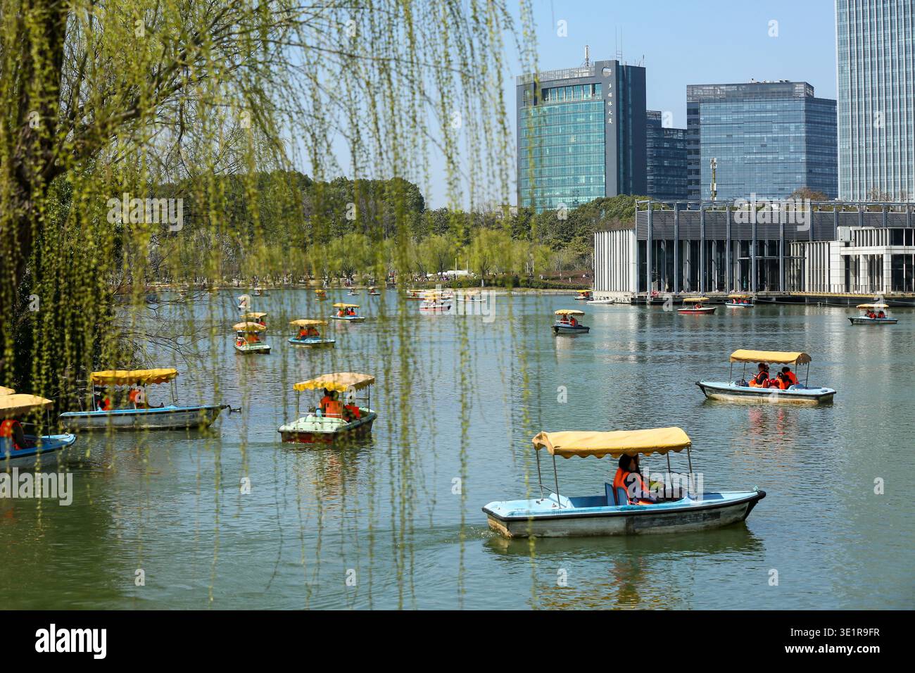 Visitors enjoy a sea of tulips at Daning Park during the Jing'an Flower ...