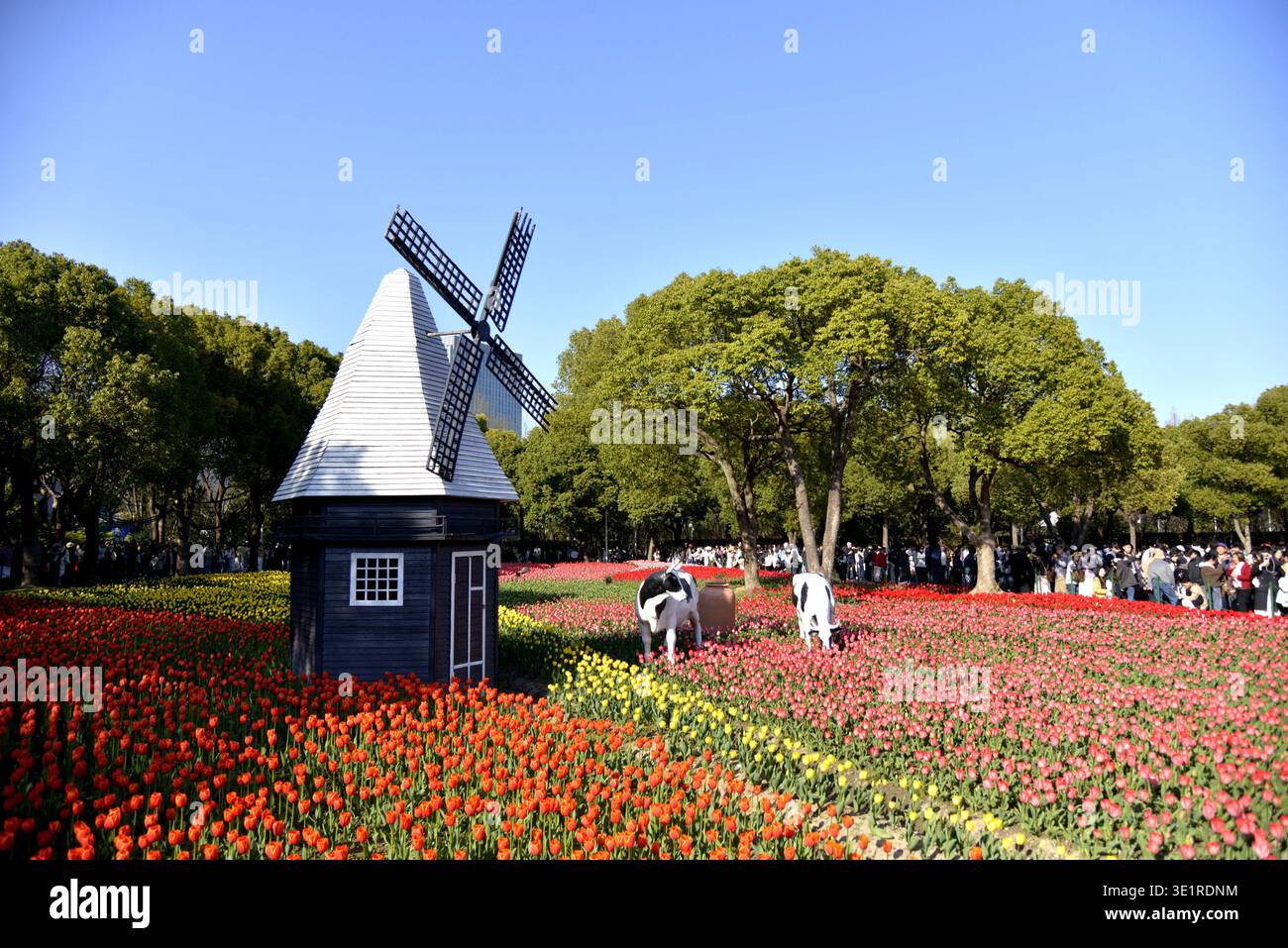 Visitors enjoy the 2026 Jing'an Flower Festival at Daning Park in ...