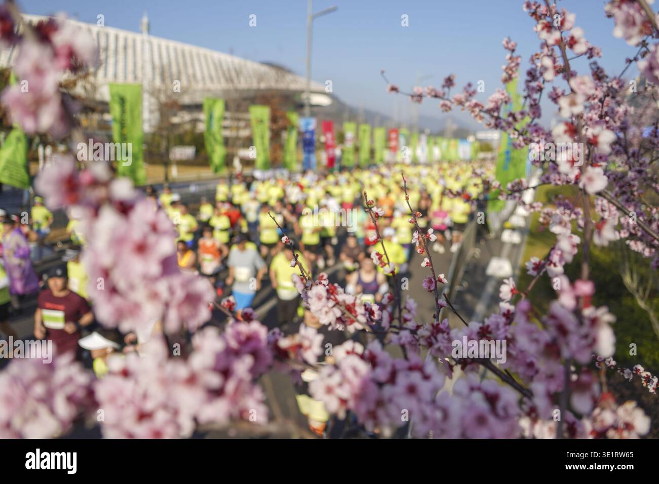 The 5th Wenzhou Longwan Half Marathon kicks off in Wenzhou City, east ...