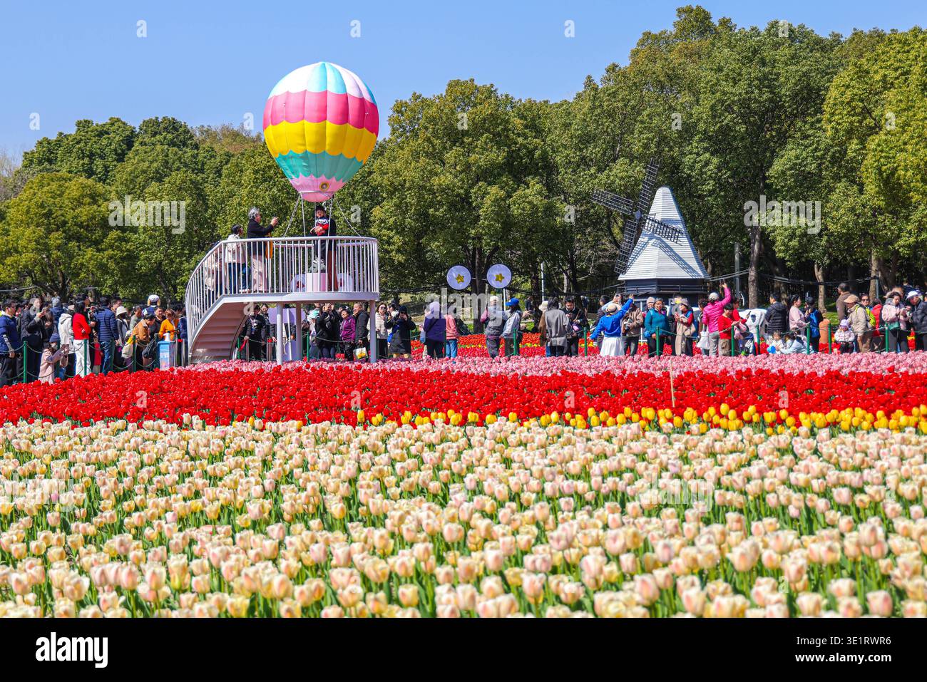 Visitors admire blooming tulips at Daning Park in Shanghai, China, 14 ...