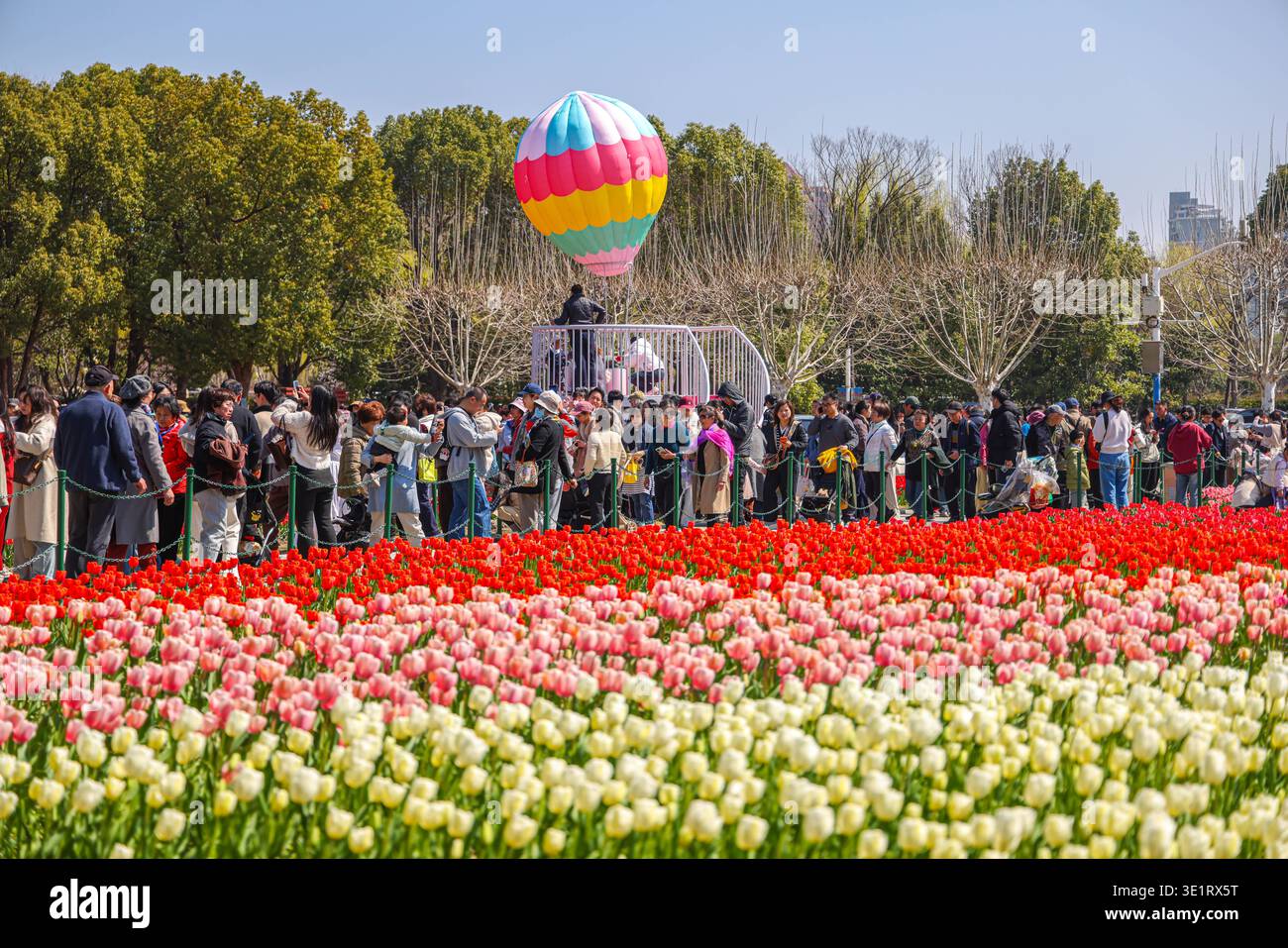 Visitors admire blooming tulips at Daning Park in Shanghai, China, 14 ...