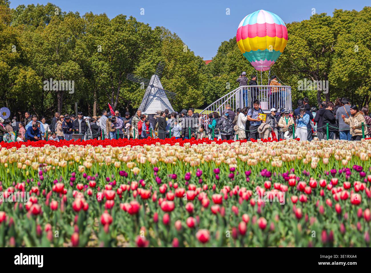 Visitors admire blooming tulips at Daning Park in Shanghai, China, 14 ...