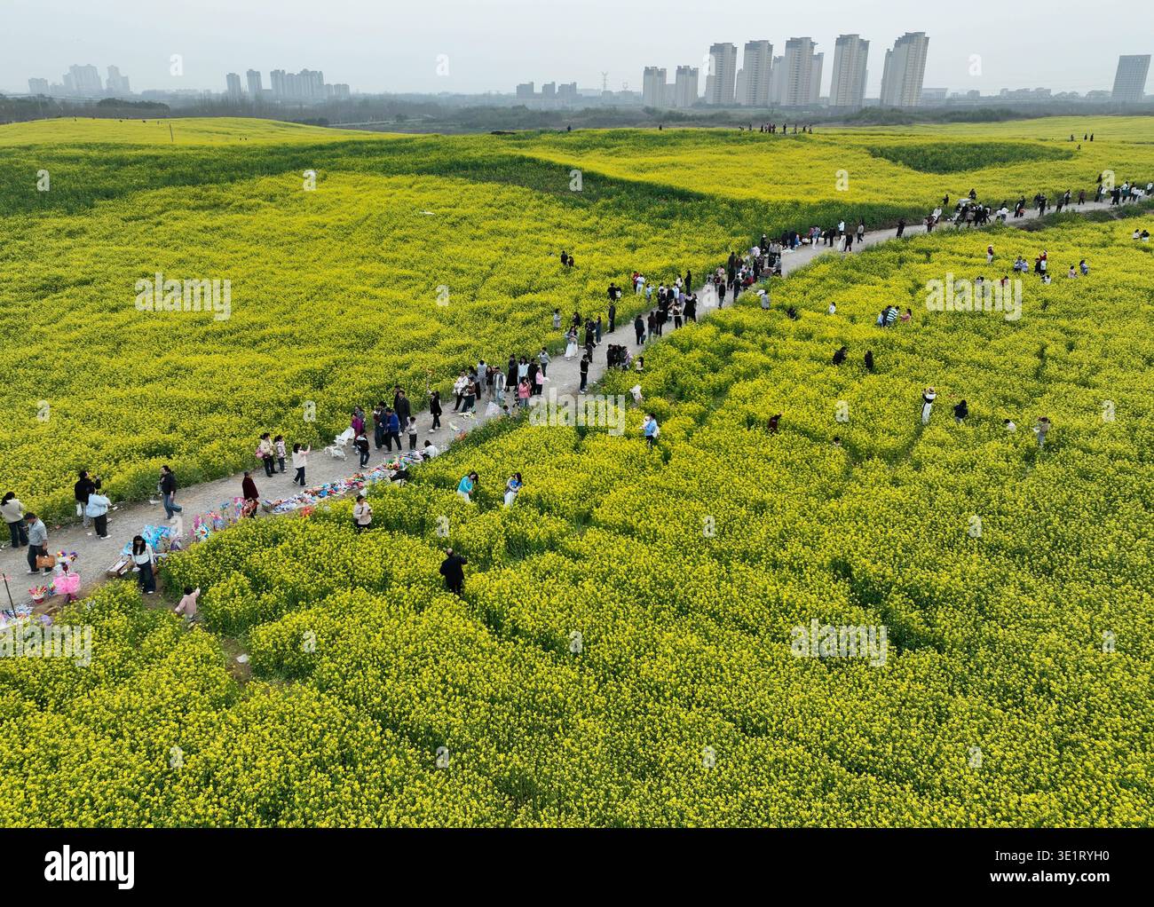 Tourists visit rapeseed flower fields in full bloom in Lu'an City, east ...