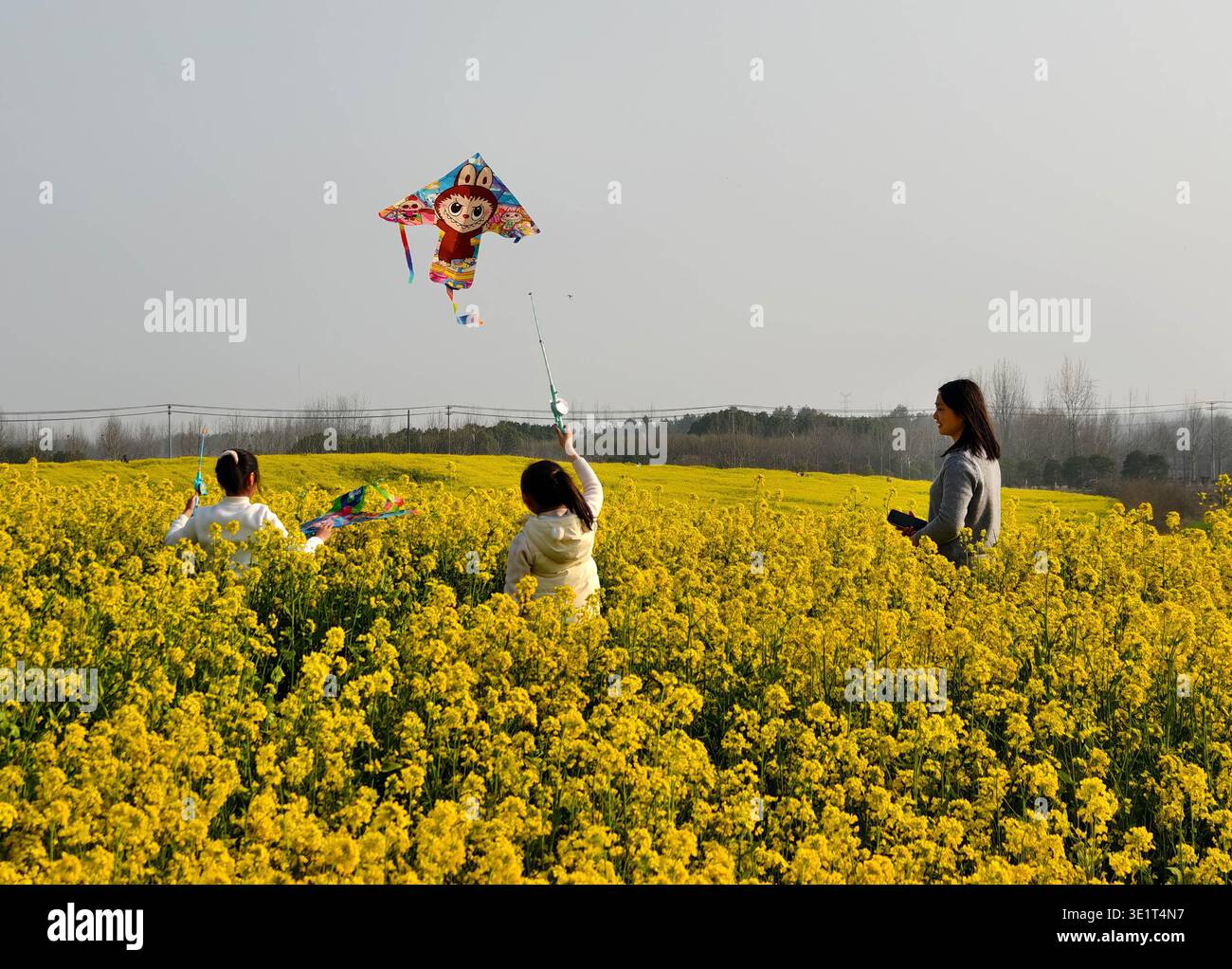 Tourists visit rapeseed flower fields in full bloom in Lu'an City, east ...