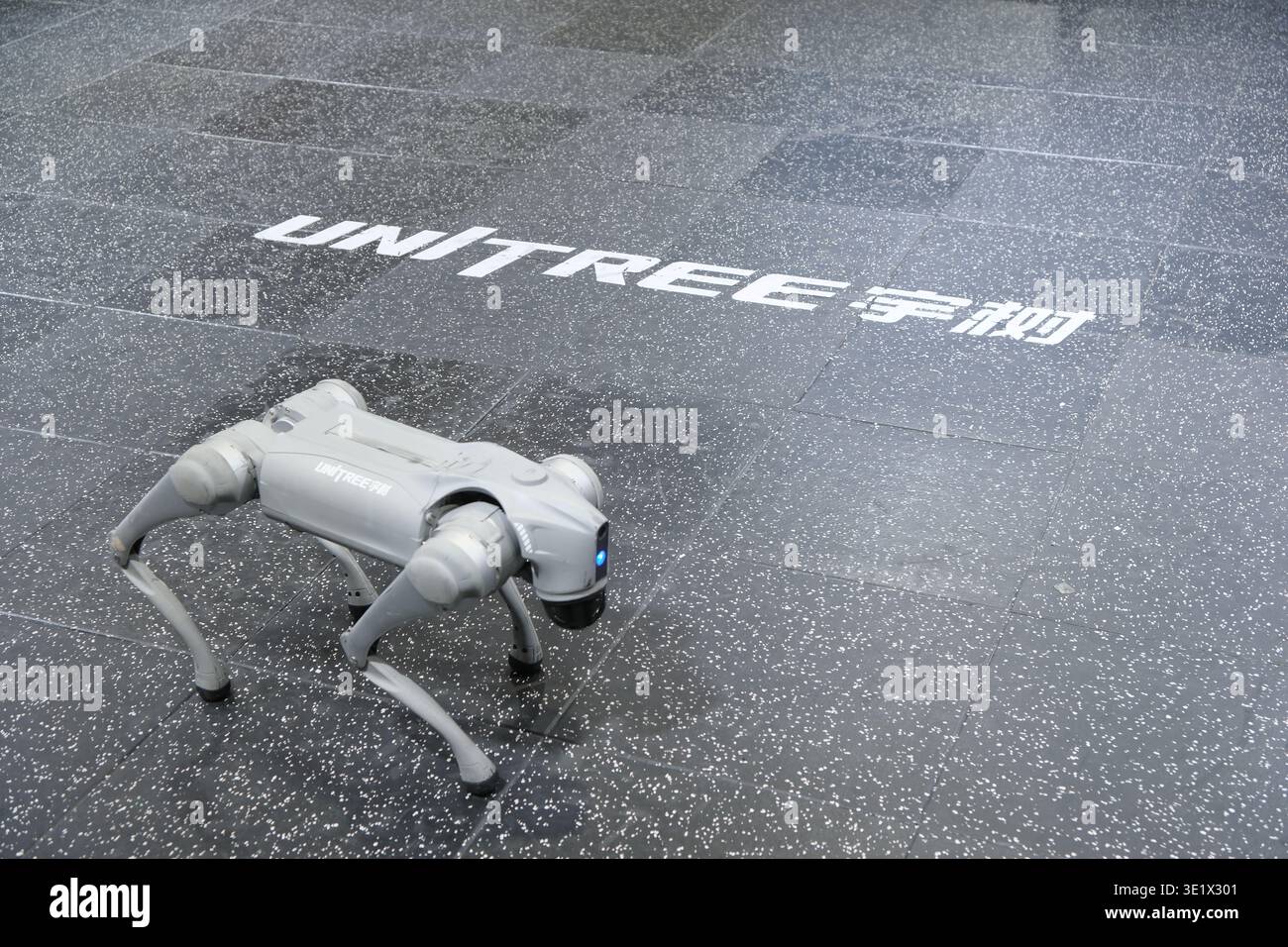 Shanghai,China-March 15th 2026: Unitree Go2 quadruped robot dog with ...