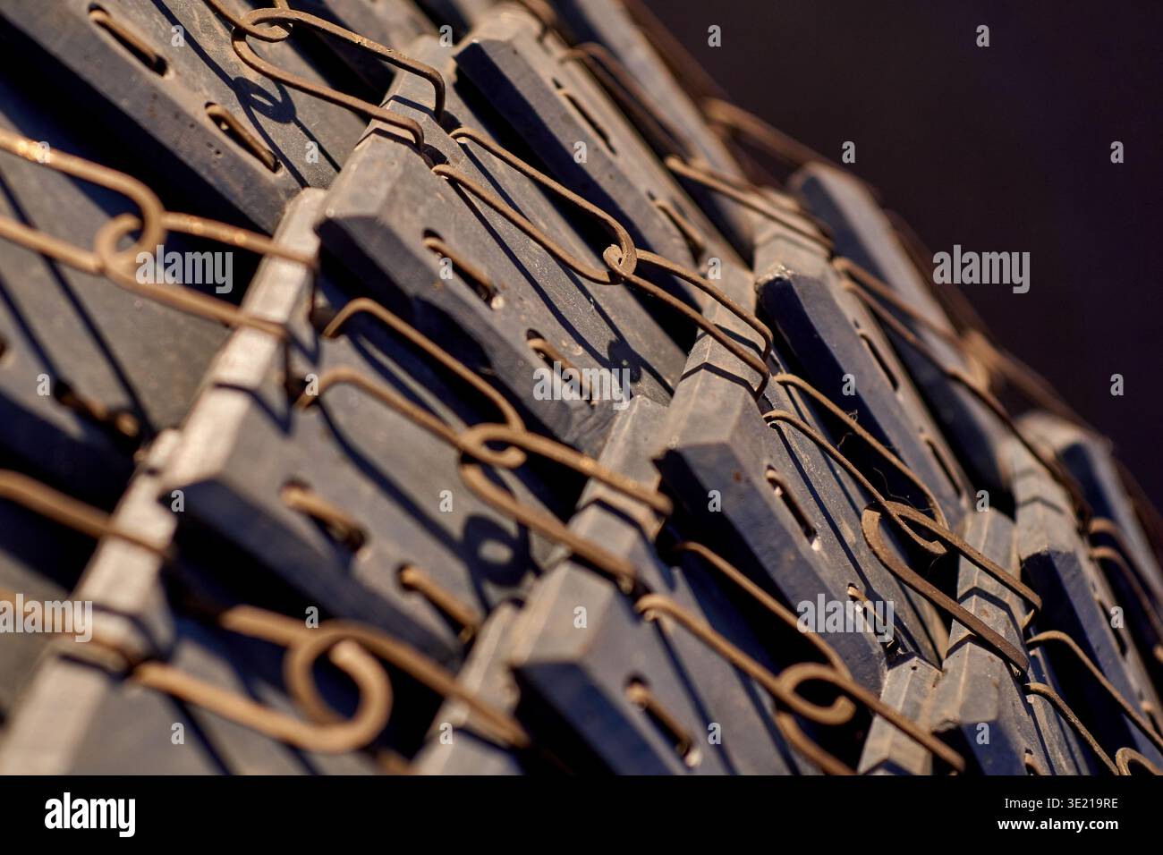 Intricate individual armour scales hi-res stock photography and images ...