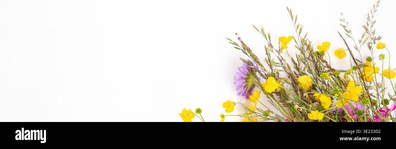 Wildflower bouquet banner on white background with copy space, soft ...