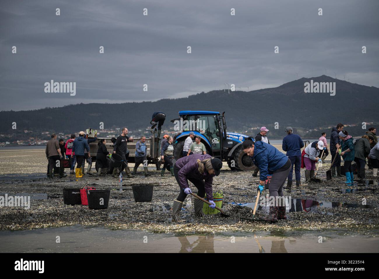Shellfish gather shells and dead shellfish on Testal beach, 18 March ...