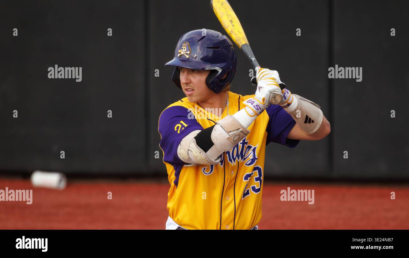 East Carolina's Austin Irby (21) bats during an NCAA baseball game on ...