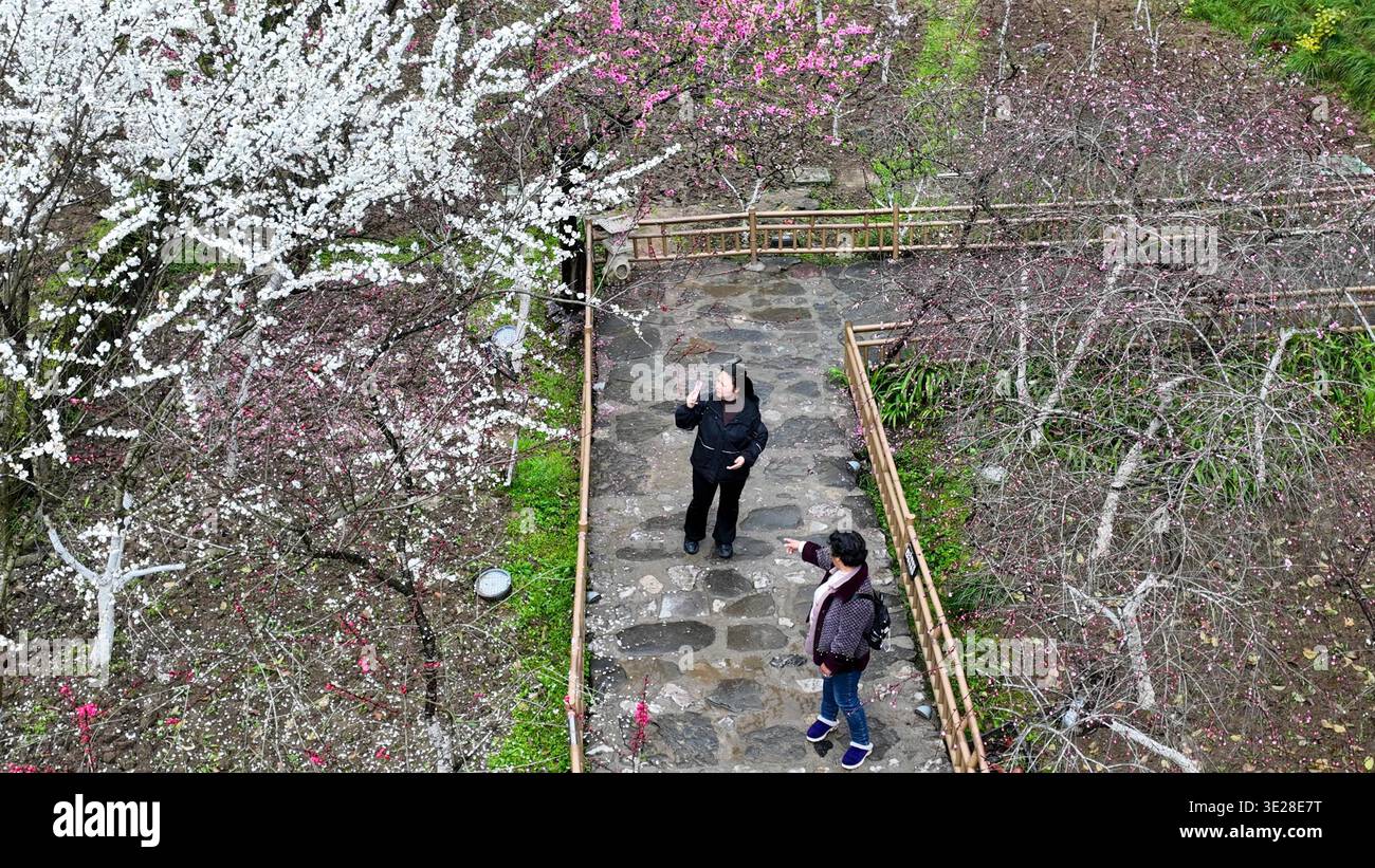 Tourists visit the Taohuayuan scenic area in Youyang Tujia and Miao ...