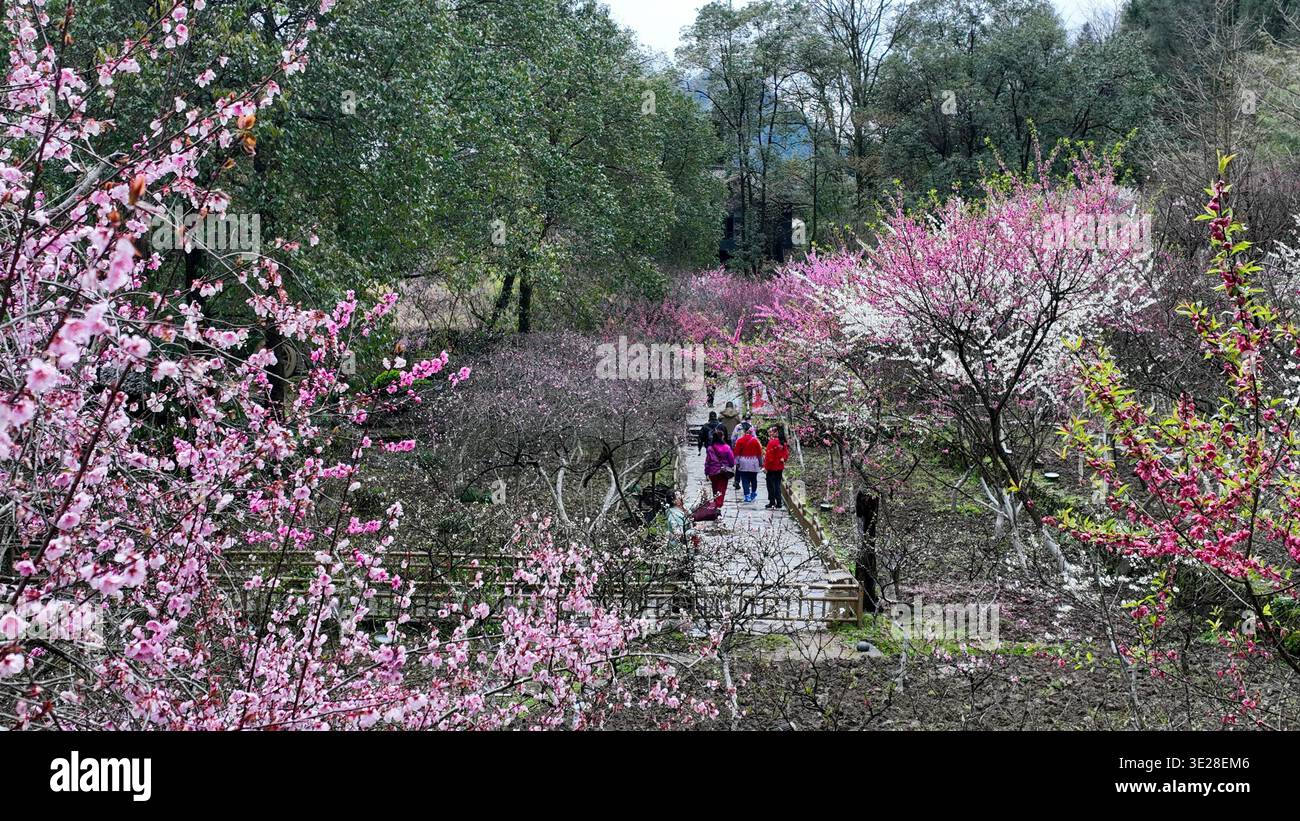 Tourists visit the Taohuayuan scenic area in Youyang Tujia and Miao ...