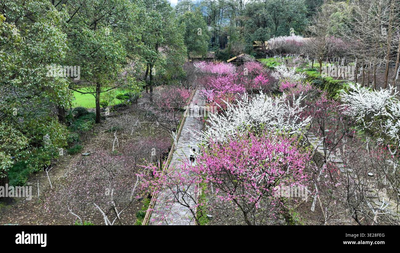 Tourists visit the Taohuayuan scenic area in Youyang Tujia and Miao ...